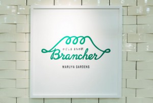 Brancher｜2015 | Landscape Products Interior Design